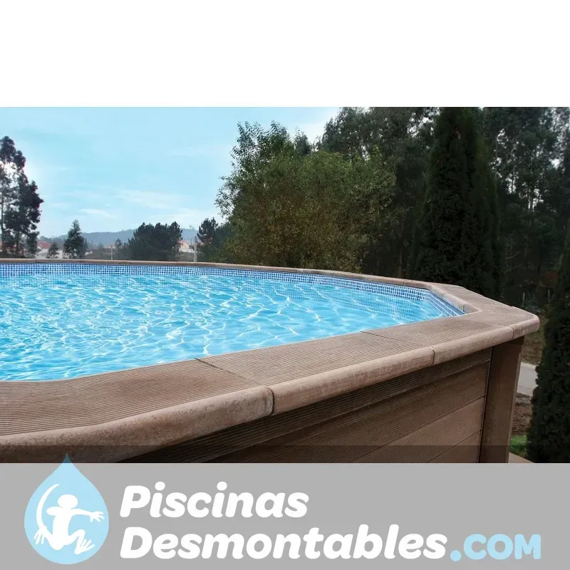 Kit de Mantenimiento Deluxe Intex 28003